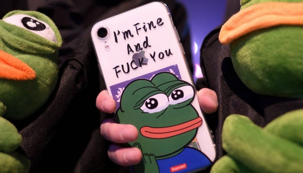 Van onschuldige tekening tot omstreden crypto: De geschiedenis van Pepe ...