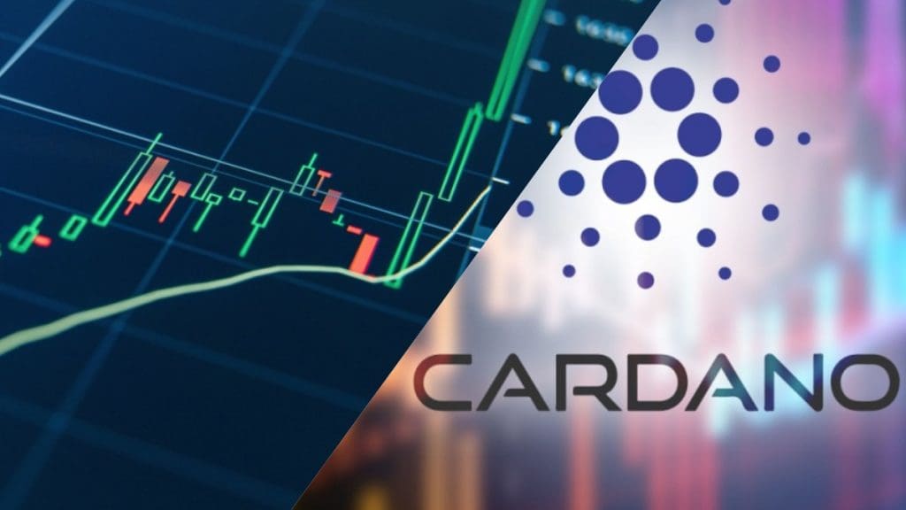 Cardano wankelt, maar netwerk ontploft: nieuw project stijgt 135%